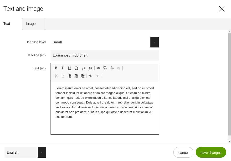 Rich Text Field 5 UI Magnolia CMS Docs